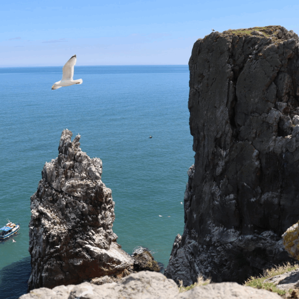 Howth Cliff Cruises | Ireland's Eye & Howth Coastal Boat Tour