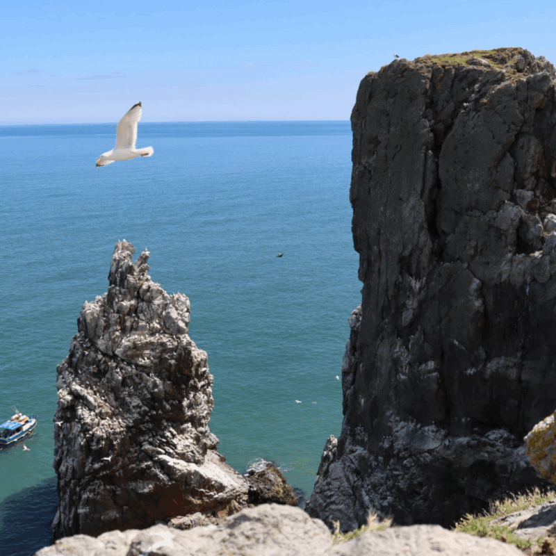 Howth Cliff Cruises | Ireland's Eye & Howth Cliffs Coastal Boat Tour