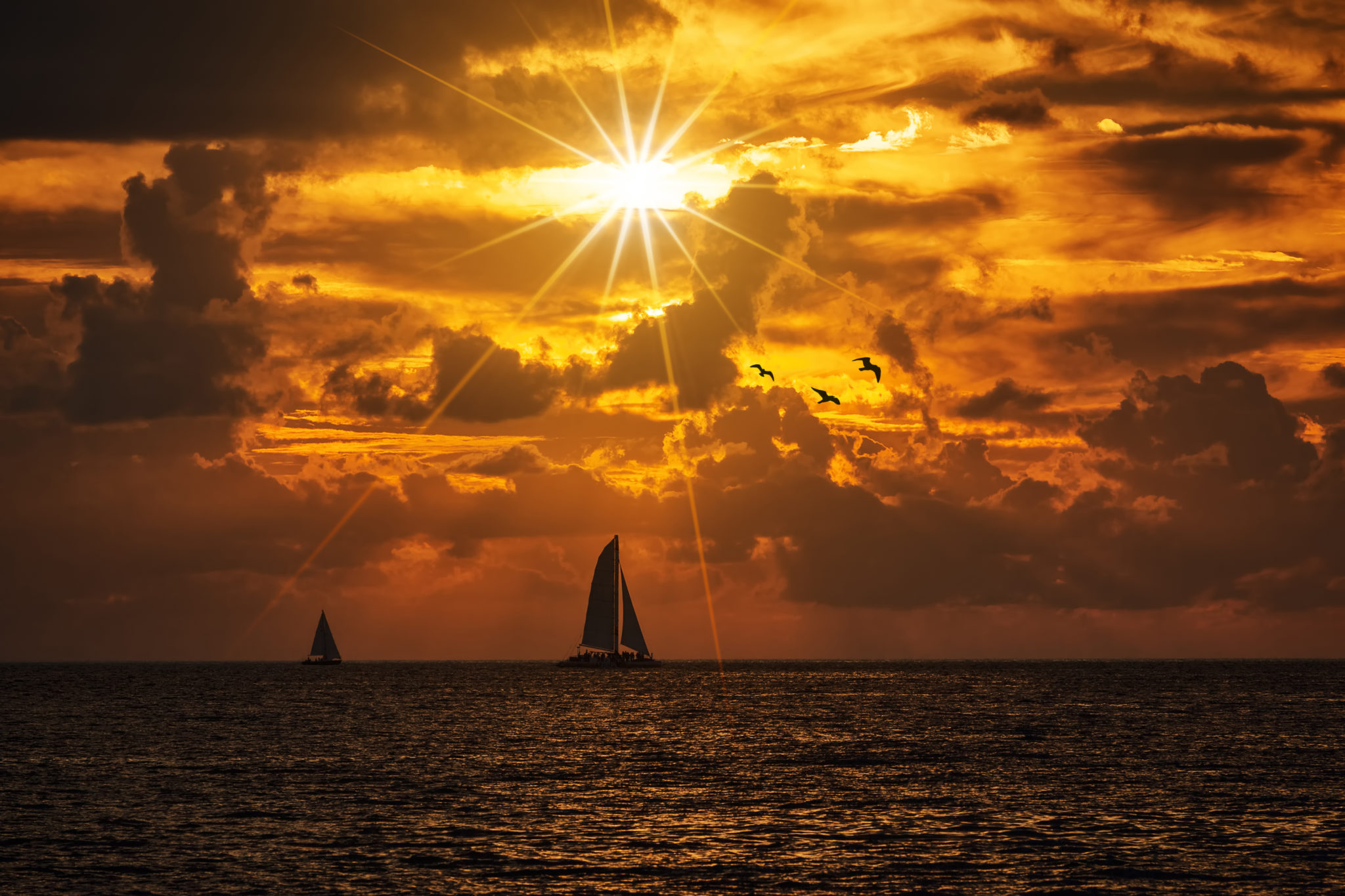 Howth Cliff Cruises | Howth Sunset Cruise