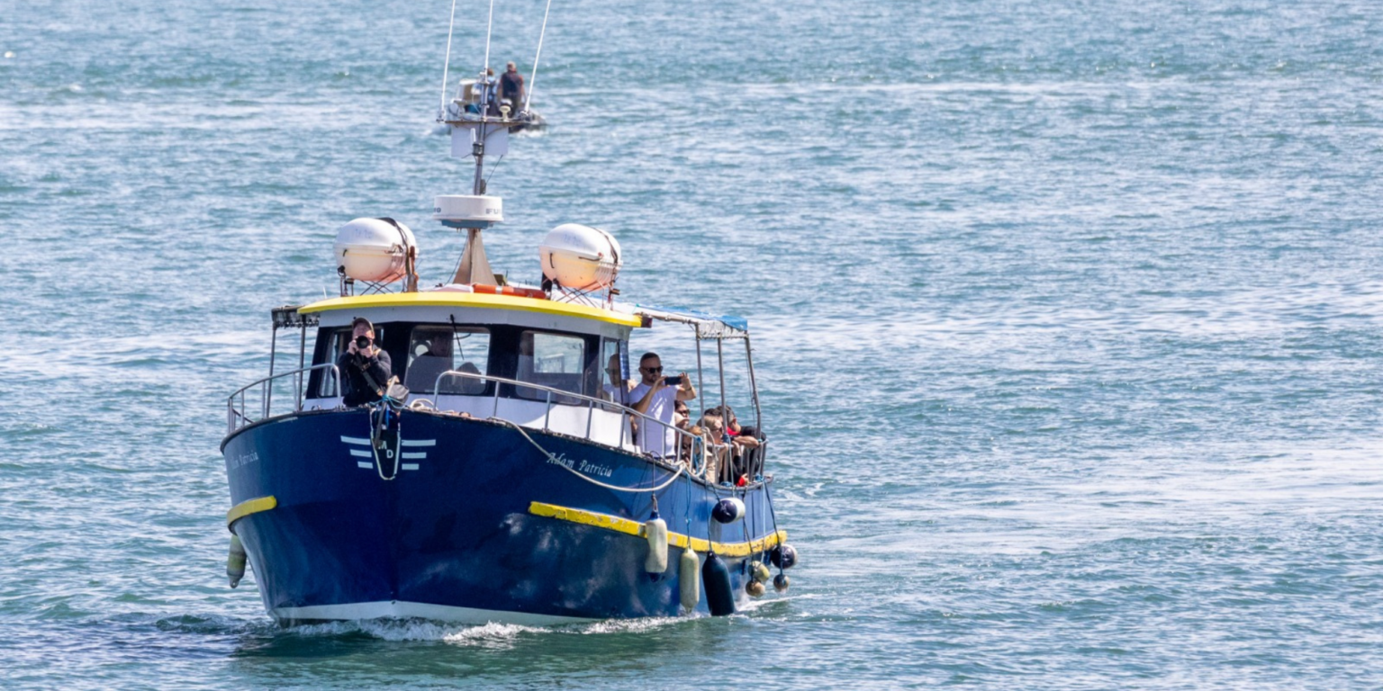 Howth Cliff Cruises | Take a boat trip around Howth & Dublin Bay