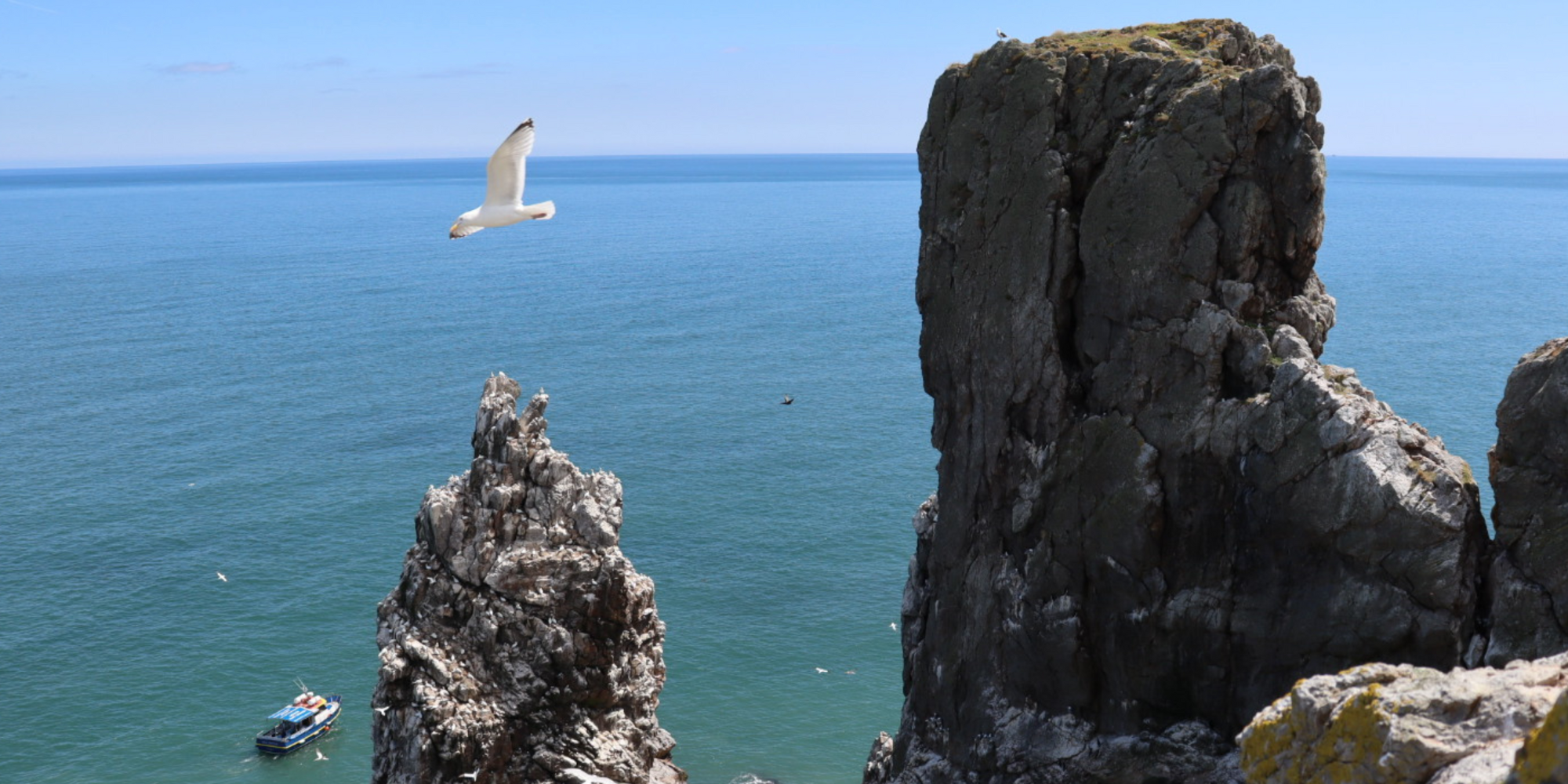 Howth Cliff Cruises | Take a boat trip around Howth & Ireland's Eye