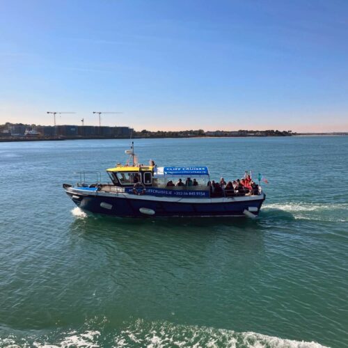 Howth Cliff Cruises | Howth Cliffs and Ireland's Eye Cruise