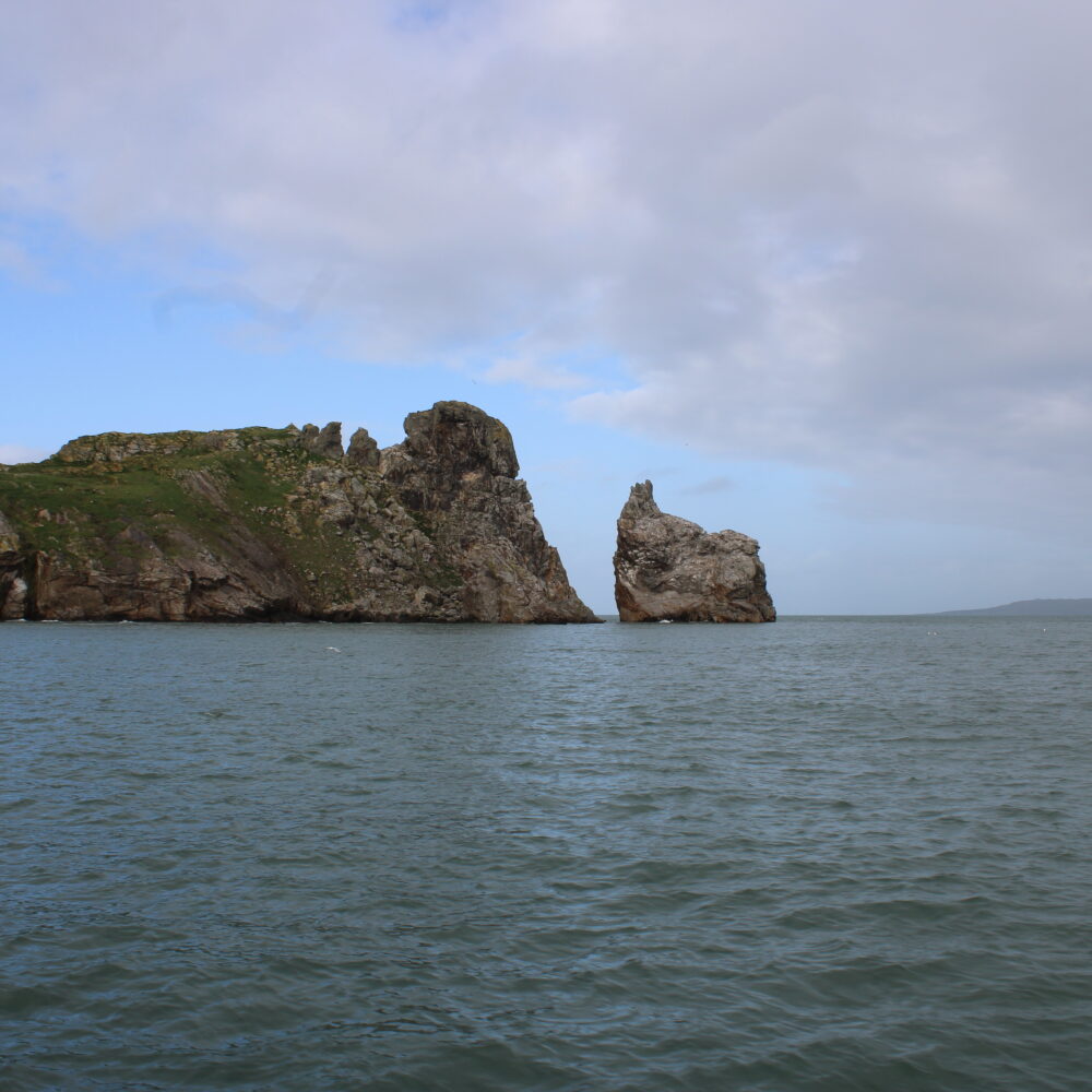 Howth Cliff Cruises | Ireland's Eye & Howth Coastal Boat Tour